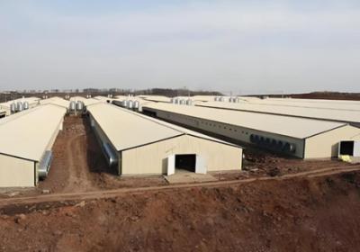 China Weather-Resistant Prefabricated Steel Poultry House with Corrosion Resistant Farm Shed for sale