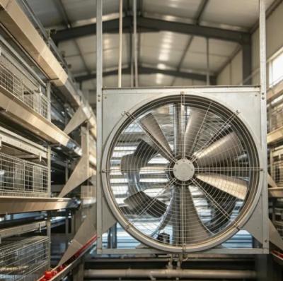 China Hot-Dip Galvanized H Type Layer Cage with Modular Structure for 3rd to 8th Floor Poultry House for sale