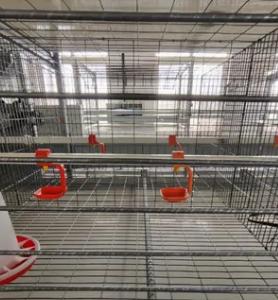 China Corrosion Resistant Steel Poultry House with Fast Installation and Automated Systems for sale