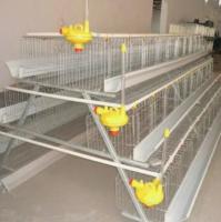 China 8 Tier Stack Design Layer Cage System with Hot-dip Galvanized Steel and Automated Ventilation for Egg Farming for sale