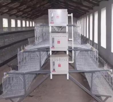 China 8 Tier Stack Design Layer Cage System with Hot-dip Galvanized Steel and Automated Ventilation for Egg Farming for sale