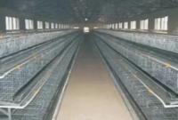 China Hot-Dip Galvanized Steel Poultry House with Automated Feeding System and Precise Temperature Control for sale