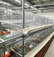 China Fully Automated Poultry Farming Equipment with Automated Feeding System and Integrated Heating and Cooling Systems for High Energy Efficiency for sale