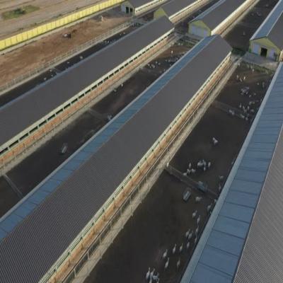 China Prefabricated Climate-Controlled Poultry House Solution for B2B Importers for sale