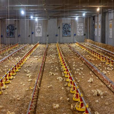 China Prefabricated Steel Poultry House with Hot-Dip Galvanized Frame, Customizable Layout, and High Wind Load Capacity for sale