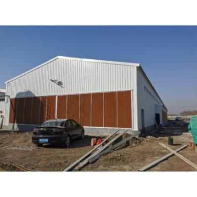 China Steel Poultry House with 8 Hens per Cell, Automatic Weighing System, and Female Chain Feeding System for sale