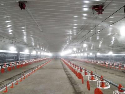 China Durable Steel Poultry House Flooring with Excellent Corrosion Resistance, 20+ Years Lifespan, and Pre-installed Plumbing System for sale