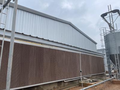 China Steel Poultry House with Programmable Controller Exhaust Fan Solution and 50 Years Lifespan for Broiler Chicken Farm for sale