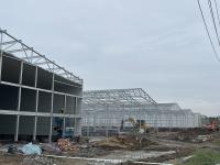 China Steel Poultry House with Programmable Controller Exhaust Fan Solution and 50 Years Lifespan for Broiler Chicken Farm for sale