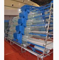 China 20000 Capacity Automatic H Type Battery Layer Chicken Cage with Tropical Zone Adaptation and Superior Ventilation for sale