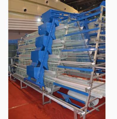China 20000 Capacity Automatic H Type Battery Layer Chicken Cage with Tropical Zone Adaptation and Superior Ventilation for sale