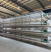 China Hot-Dip Galvanized Battery Chicken Cage with Automatic Feeding System and Customizable Dimensions for sale