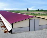 China Weather-Resistant Prefabricated Steel Poultry House with Automatic Ventilation System and Customized Design for sale
