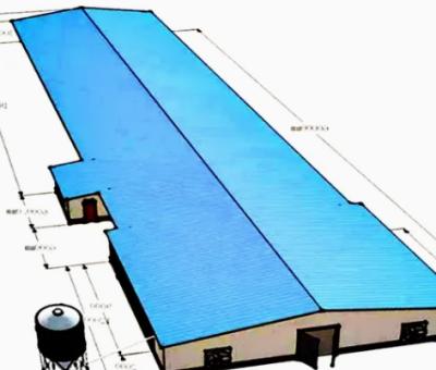 China Fully-Automatic Steel Poultry House with 12,000 Eggs per Hour Collection and Customizable Exterior Finishes for Commercial Farming for sale