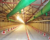 China Fully-Automatic Steel Poultry House with 12,000 Eggs per Hour Collection and Customizable Exterior Finishes for Commercial Farming for sale