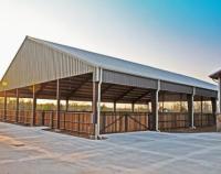 China Fully-Automatic Steel Poultry House with 12,000 Eggs per Hour Collection and Customizable Exterior Finishes for Commercial Farming for sale