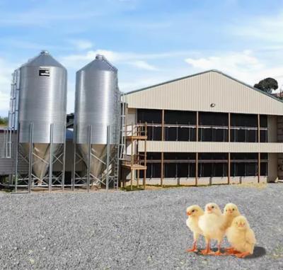China Corrosion Resistant Prefabricated Steel Poultry House with H Section Steel and 3m - 6m Building Height for sale