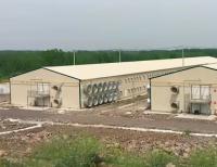 China Corrosion Resistant Prefabricated Steel Poultry House with H Section Steel and 3m - 6m Building Height for sale