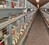 China Prefabricated Steel Poultry House with High Energy Efficiency and Customizable Exterior Finishes for sale