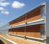 China Prefabricated Steel Poultry House with High Energy Efficiency and Customizable Exterior Finishes for sale