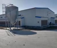 China Prefabricated Steel Poultry House with High Energy Efficiency and Customizable Exterior Finishes for sale