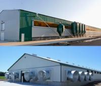 China Galvanized Prefabricated Steel Poultry House with Customizable Layout and Excellent Sound Insulation for sale
