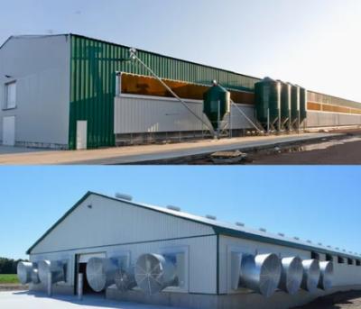 China Galvanized Prefabricated Steel Poultry House with Customizable Layout and Excellent Sound Insulation for sale