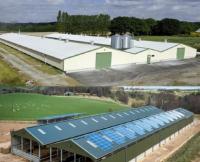China Galvanized Prefabricated Steel Poultry House with Customizable Layout and Excellent Sound Insulation for sale