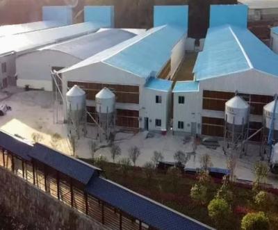 China Hot Selling Prefab Layer Chicken Coop Houses with Magnesium-Aluminum-Zinc Coated Steel Plate and Fully Automated Feeding & Drinking for More Than 20 Years Lifespan for sale