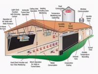 China Hot Selling Prefab Layer Chicken Coop Houses with Magnesium-Aluminum-Zinc Coated Steel Plate and Fully Automated Feeding & Drinking for More Than 20 Years Lifespan for sale