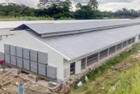 China Nigeria Steel Poultry House with Bolts Connection Sandwich Panel Wall and H Section Steel Column for sale