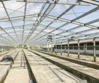 China Nigeria Steel Poultry House with Bolts Connection Sandwich Panel Wall and H Section Steel Column for sale