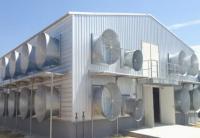 China Nigeria Steel Poultry House with Bolts Connection Sandwich Panel Wall and H Section Steel Column for sale