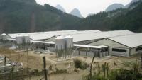 China Galvanized Steel Poultry House with 30 Years Warranty and Low Maintenance for Broiler Chicken Coop for sale