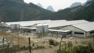 China Galvanized Steel Poultry House with 30 Years Warranty and Low Maintenance for Broiler Chicken Coop for sale