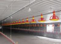 China Galvanized Steel Poultry House with 30 Years Warranty and Low Maintenance for Broiler Chicken Coop for sale