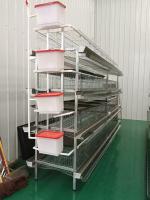 China 20000 Birds Capacity Hot-dip Galvanized Automatic Layer Chicken Cage Poultry Farm Equipment for sale