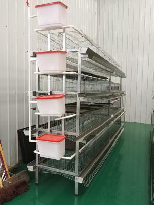 China Hot-dip Galvanized Steel Poultry Layer Cage with 3 to 4 Tiers Stacked Design for 8 Hens per Cell for sale