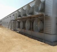 China Fully Automated Steel Poultry House with Magnesium-Aluminum-Zinc Coated Steel for 20+ Years Lifespan for sale