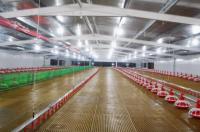 China Fully Automated Steel Poultry House with Magnesium-Aluminum-Zinc Coated Steel for 20+ Years Lifespan for sale