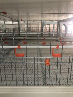 China Quick Assembly Hot-dip Galvanized Steel Poultry Breeding Cage with 8 Hens per Cell Capacity for sale