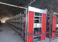 China Hot-Dip Galvanized Steel Automatic Chicken Pan Feeding Equipment with 450 kg/h Capacity and German Feed Level Sensor for sale