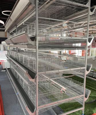 China Deformation-Proof Hot-Dip Galvanized Poultry Cage with Movable Chicken Nets for sale