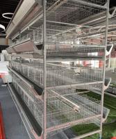 China Rust-Resistant Modular Layer Chicken Cage with Gentle Egg Collection System for sale