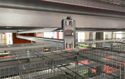 China Hot-dip galvanized steel poultry chicken cage with automatic feeding system for 8 hens per cell for sale