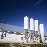 China Automatic Egg Collection System for Commercial Layer Farms with Low Breakage Rate and Centralized Sorting Integration for sale