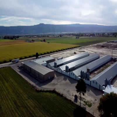 China Automatic Broiler Flooring Poultry House Equipment with 12,000 Eggs per Hour, 360-Degree Feed Pans, and Drip-Free Nipple Drinkers for sale