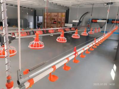 China Modern Steel Poultry House with Automatic Ventilation System and Pre-installed Plumbing System for Broiler Chicken Breeding for sale