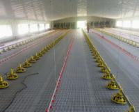 China High-Efficiency Climate Control Galvanized Steel Poultry House Equipment with 12000 Eggs per Hour for sale