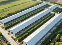 China High-Efficiency Climate Control Galvanized Steel Poultry House Equipment with 12000 Eggs per Hour for sale